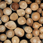 Croatian wood and wood products! - Cornus Ltd.